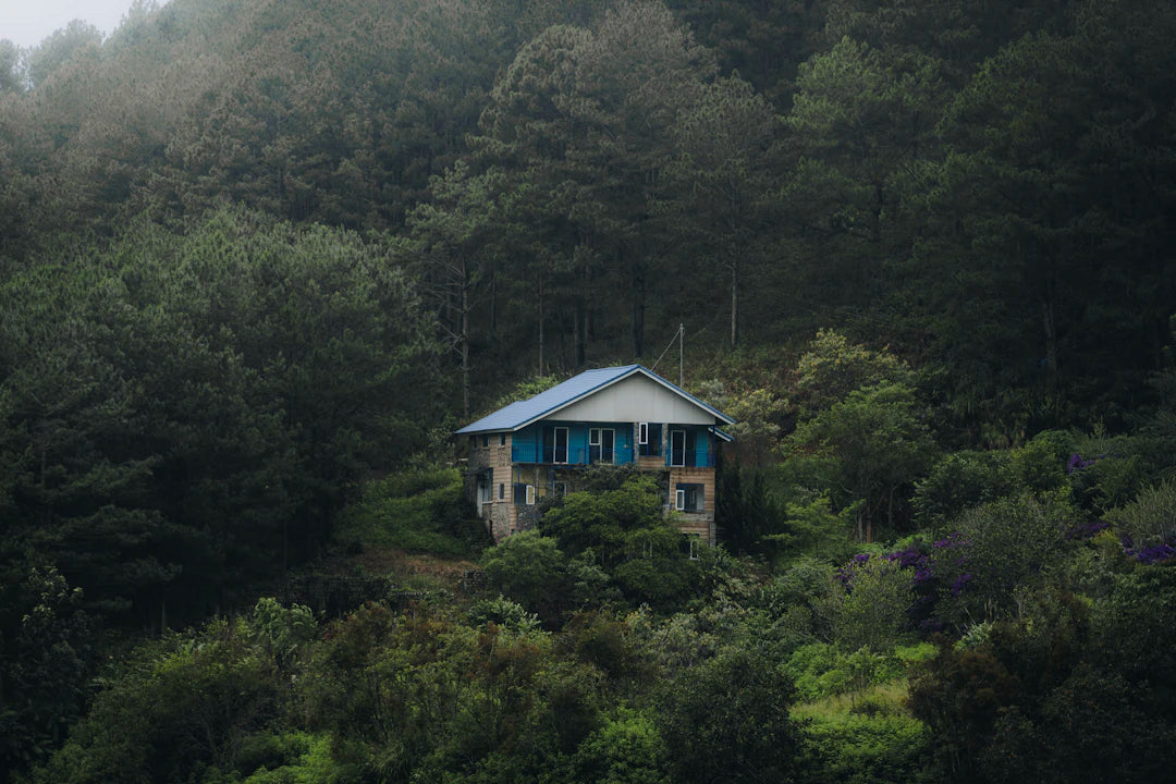 Discover Off-Grid Living: Embrace Your Self-Sufficient Journey — Modern ...