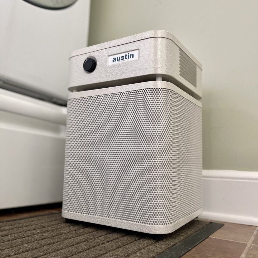 FLASH SALE! Austin Air HealthMate Junior HEPA Air Purifier — Modern ...
